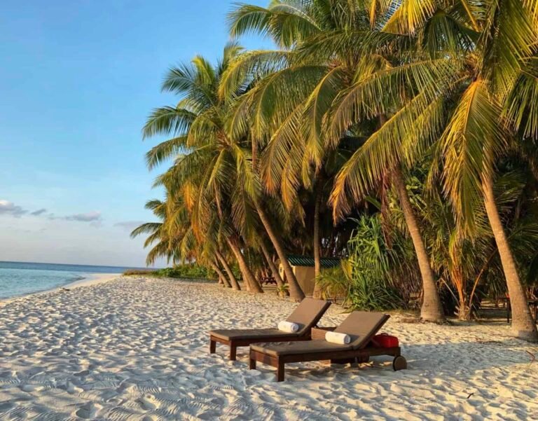 Guadeloupe. Tourisme. Le secteur hôtelier est en crise | CCN - Caraib Creole News